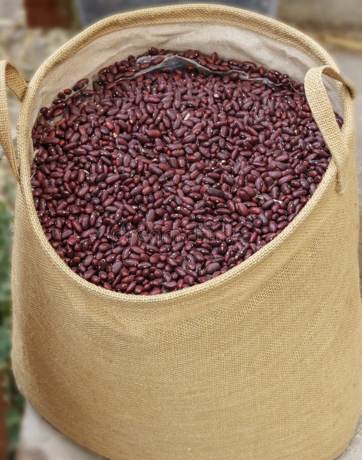 Large Bag of Sackcloth Filled with Red Beans Stock Image - Image of ...