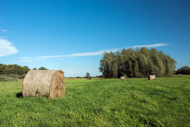 Large Bale of Mown Hay Lying on a Green Meadow, Copse and White Cloud ...