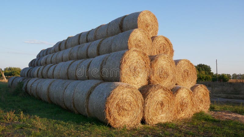 Large Bales of Hay are Stacked for Storage Stock Image - Image of ...