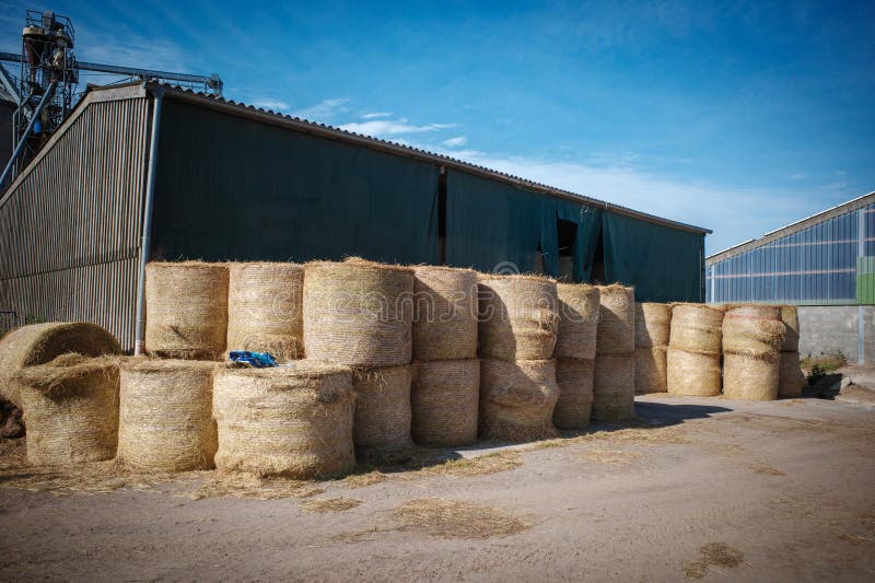 Large Bales of Hay Stored on a Farm Stock Photo - Image of agricultural ...