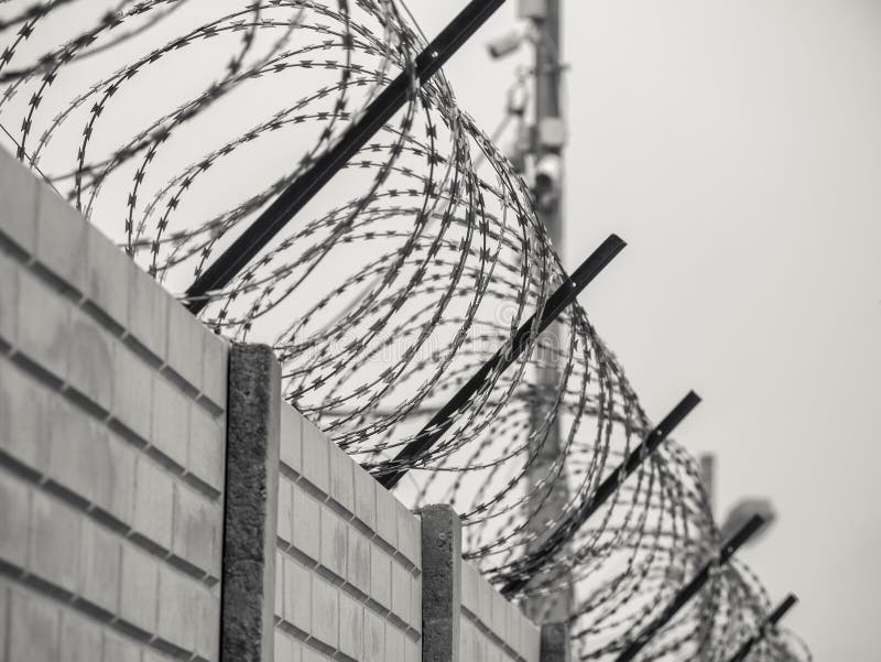 Large Barbed Wire Roll Security Fence Stock Photo - Image of prevent ...