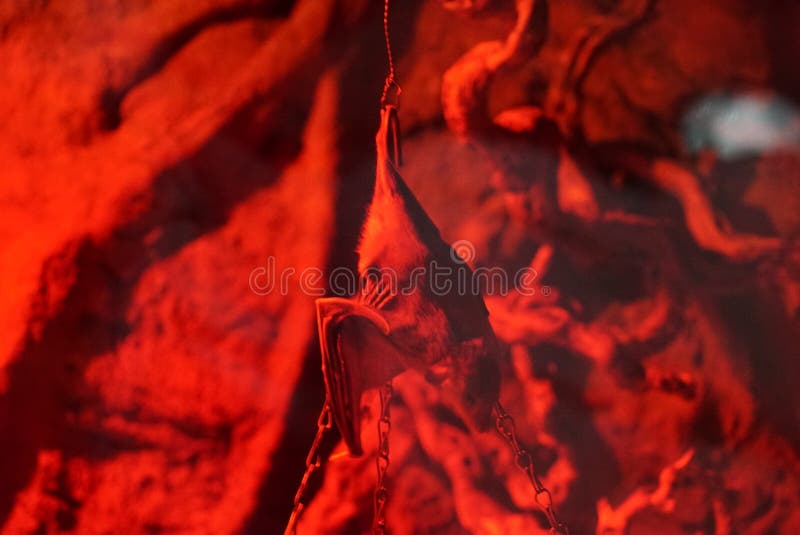 Sport Halloween Haunted Tree Stock Photos - Free & Royalty-Free Stock ...