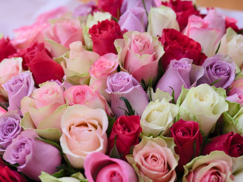 Large Beautiful Bouquet of Coloured Roses Stock Photo - Image of ...