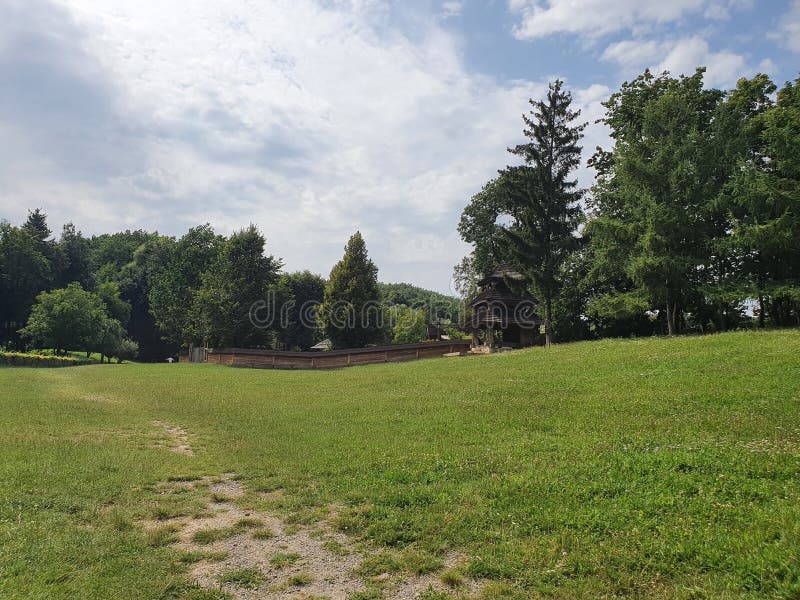 A Large Beautiful Clearing in the Forest, a Walking Path Leads into the ...