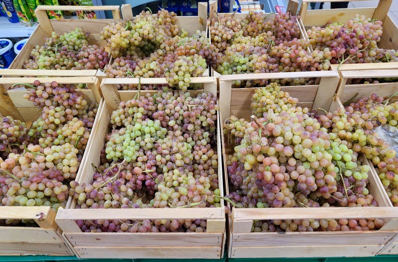 Large Beautiful Grapes in Boxes on the Counter in the Store Stock Image ...