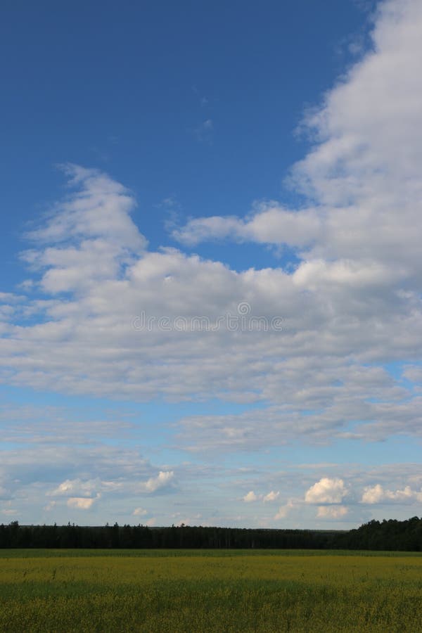Large Beautiful Spring the Field Stock Image - Image of cloudscape ...