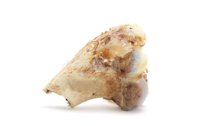A Large Beef Marrow Bone on a White Stock Photo - Image of pork, fresh ...