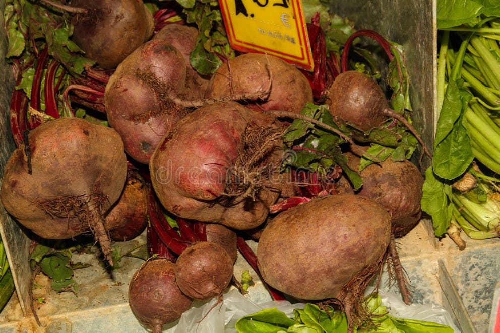 Large beetroots in stall stock image. Image of market - 135989399