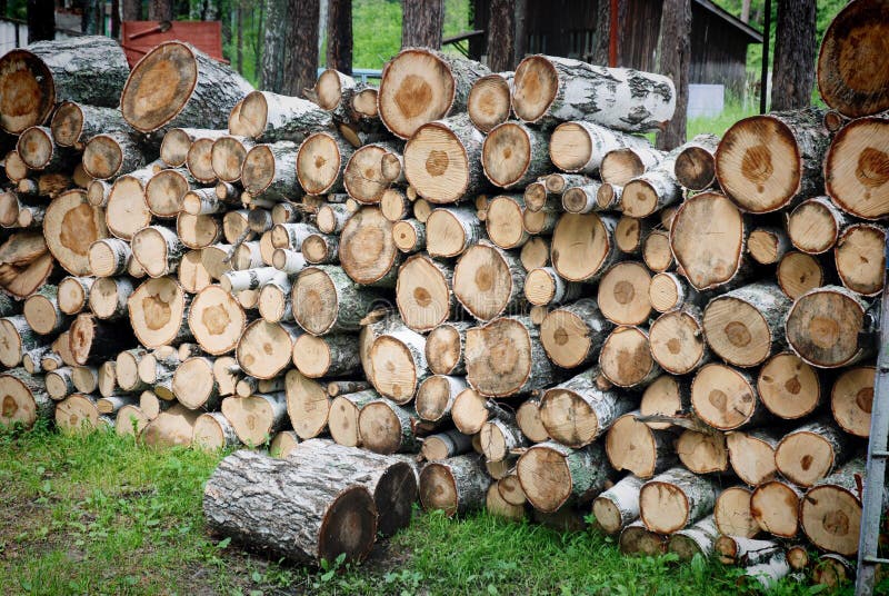 Large Birch Firewood and Chocks Lie in a Stack and Dry on a Summer Day ...