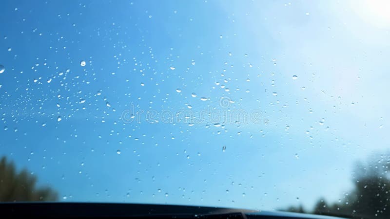 Large Bird Dropping Lands on a Pristine Car Windshield during a Sunny ...