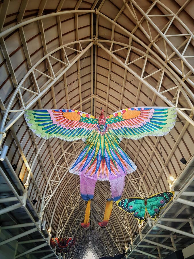 Large bird kite hanging stock photo. Image of symmetry - 264089304