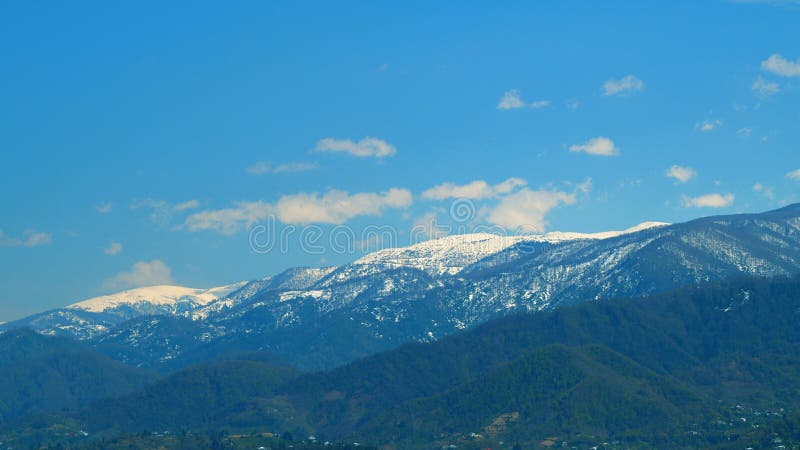 Large Bird in Natural Ecosystem. Migrating Greater Birds Circling in ...