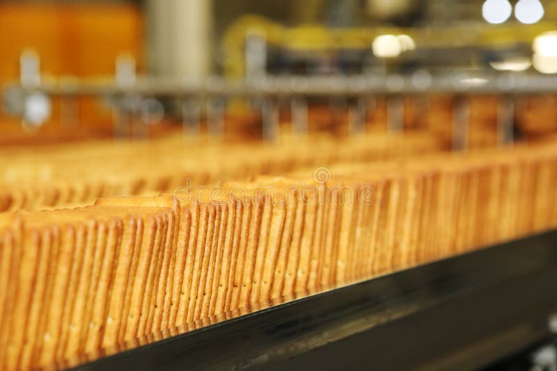 Large Biscuit Factory. a Line of Biscuits in a Large Factory. Packing ...