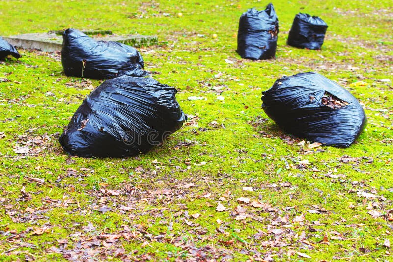Large black plastic bags stock photo. Image of black - 162926850