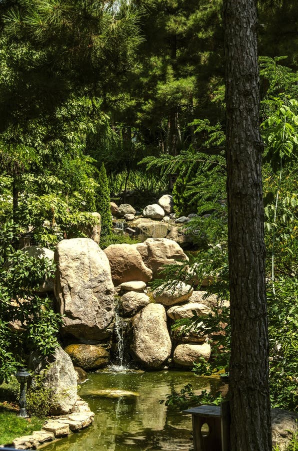 A Small River with a Waterfall and a Small Pond Under the Trees in the ...