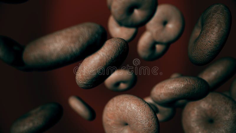 Large Blood Cells Infected with a Virus in the Human Body. Stock ...