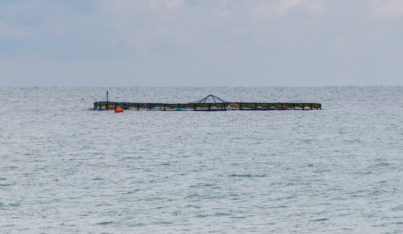 A Large Blue and Yellow Net is Floating in the Ocean Stock Photo ...