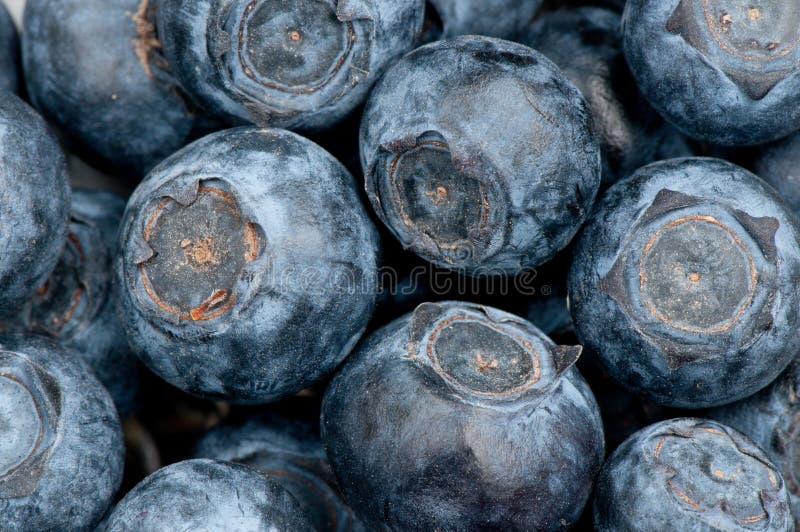 Large Blueberries Background Stock Photo - Image of nature, dessert ...