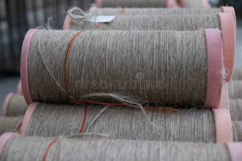 Large Bobbins of Flax Threads for Fabrics .Flax Processing Plant ...