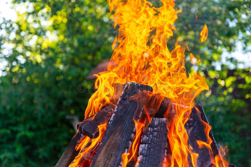 Large Bonfire on the Background of Trees Stock Image - Image of ...