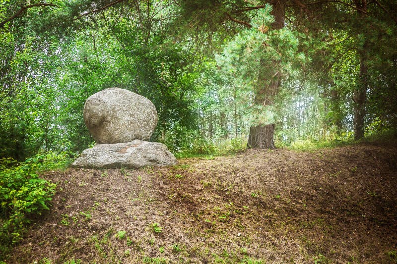 Large Boulder in Dense Forest Stock Image - Image of natural, hiking ...