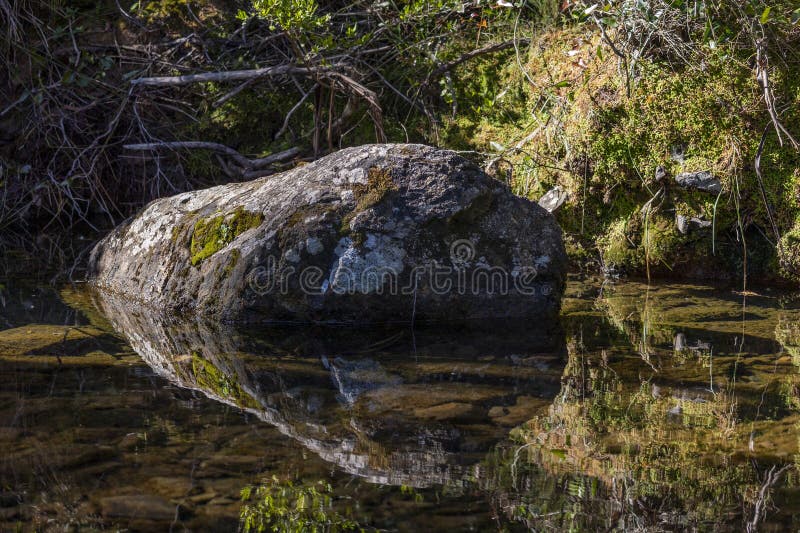 Large Boulder Half Submerged Stock Photo - Image of moss, river: 379529064