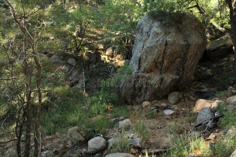 Large Boulders Under Pine Trees in Hualapai Mountain State Park Kingman ...