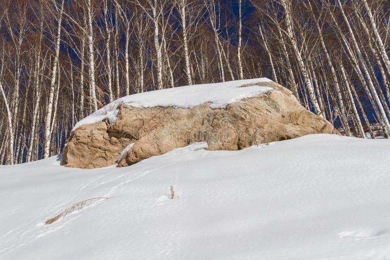 Large boulder in the snow stock photo. Image of area - 84663856