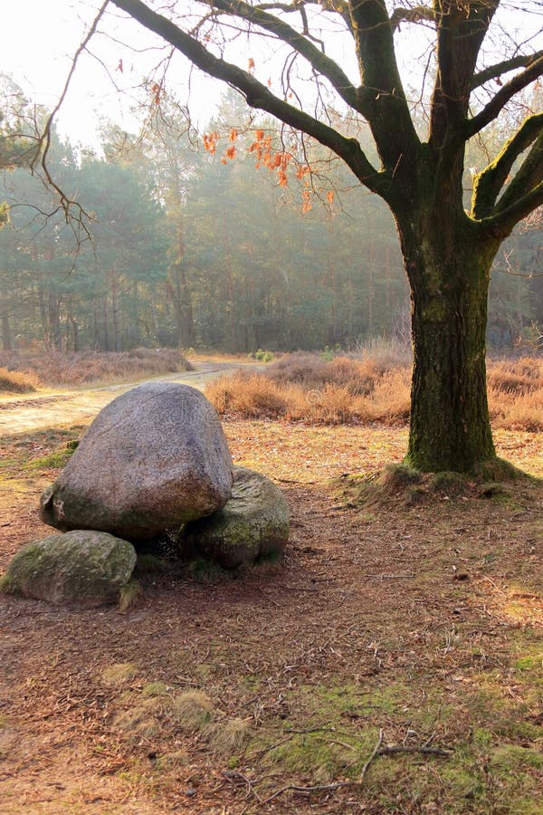 Large Boulder Under Tree Landscape Stock Photo - Image of tree, rock ...