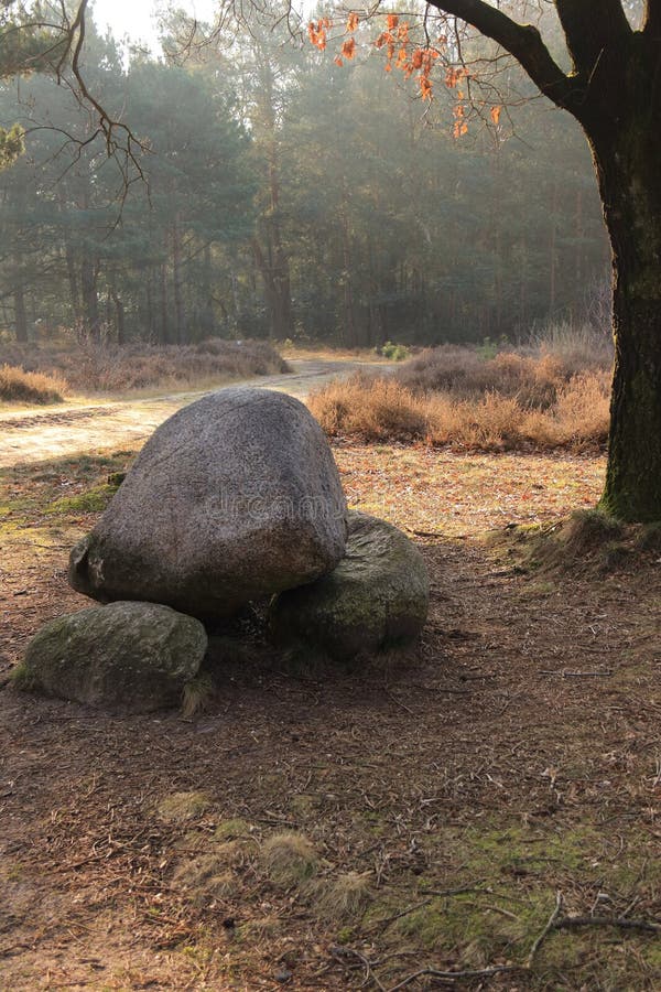 Large Boulder Under Tree Landscape Stock Photo - Image of rock ...