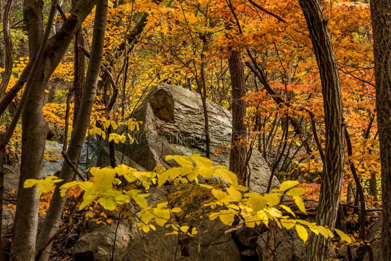 Large Boulder in Shallow Pond Stock Image - Image of recreational, asia ...