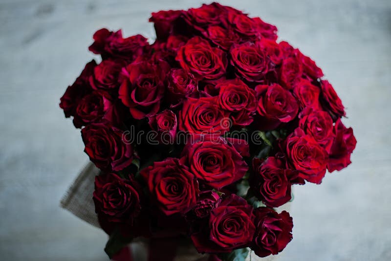 A Large Bouquet of Beautiful Red Roses. Stock Image - Image of love ...