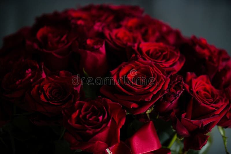 A Large Bouquet of Beautiful Red Roses. Stock Photo - Image of romance ...
