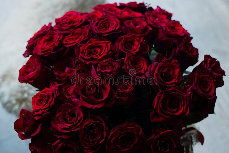 A Large Bouquet of Beautiful Red Roses. Stock Photo - Image of ...