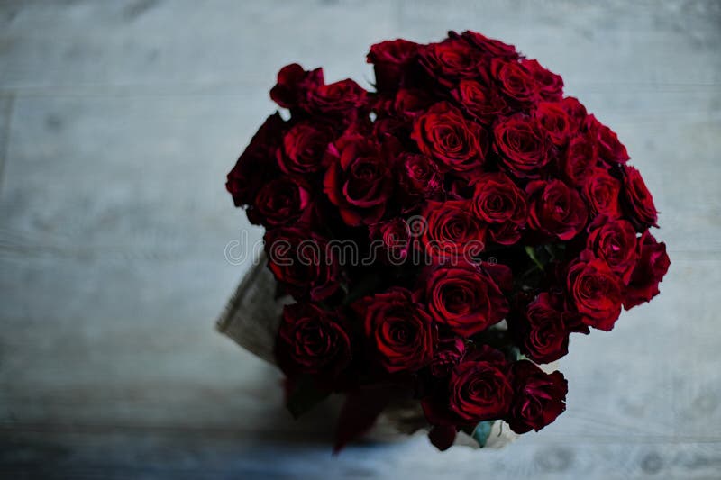 A Large Bouquet of Beautiful Red Roses. Stock Image - Image of nature ...