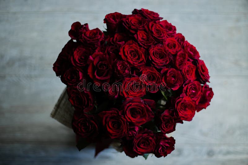 A Large Bouquet of Beautiful Red Roses. Stock Photo - Image of garden ...