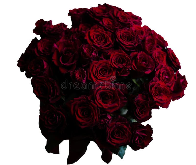 A Large Bouquet of Beautiful Red Roses Stock Image - Image of blossom ...