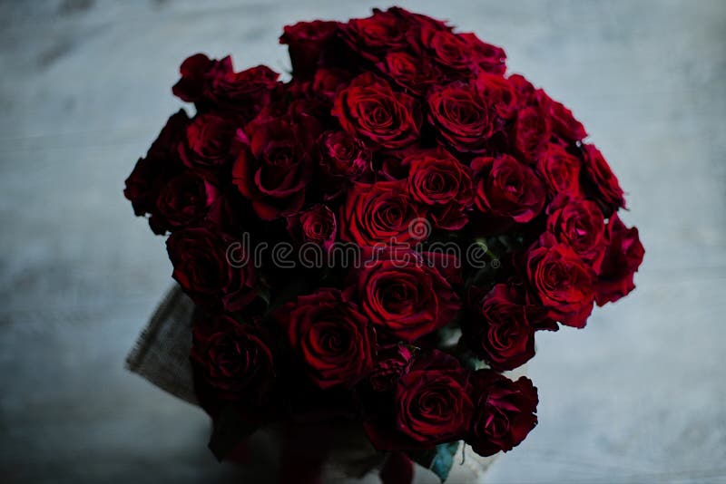A Large Bouquet of Beautiful Red Roses. Stock Photo - Image of love ...