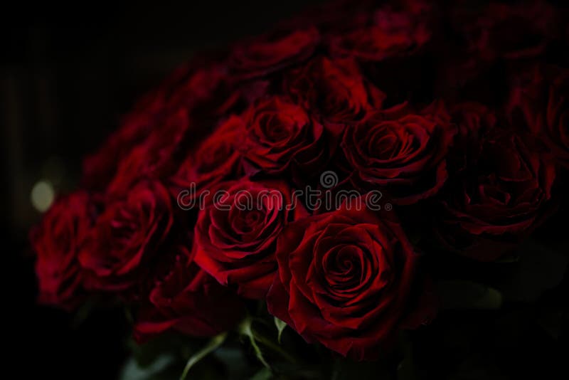 A Large Bouquet of Beautiful Red Roses. Stock Image - Image of surprise ...