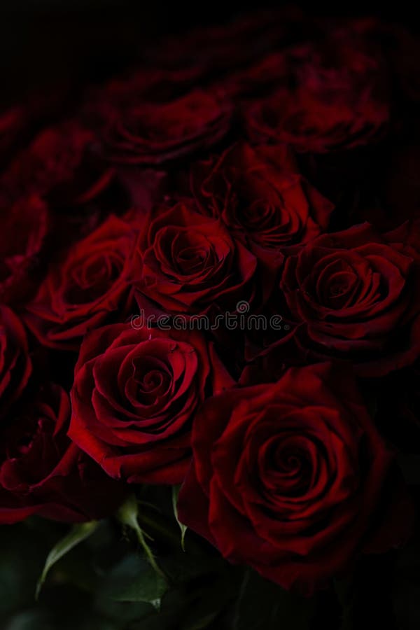 A Large Bouquet of Beautiful Red Roses. Stock Image - Image of natural ...