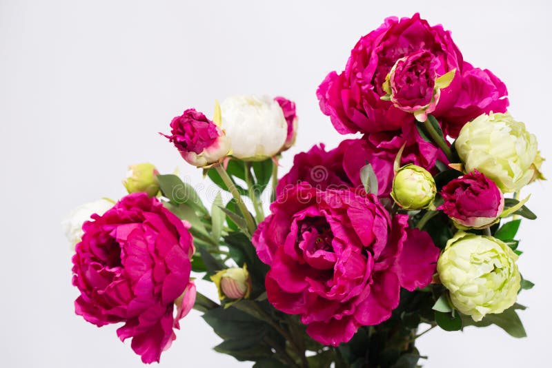 A Large Bouquet of Burgundy Peonies Stock Photo - Image of color, green ...