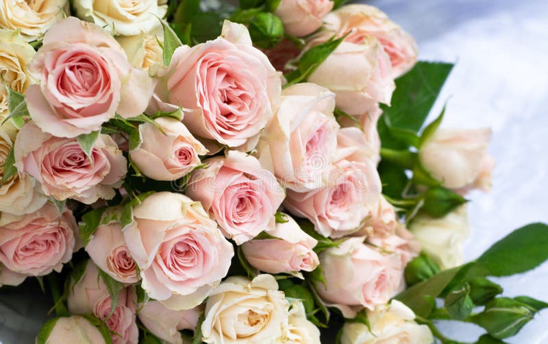 Large Bouquet of Pink and Beige Roses Stock Photo - Image of blossom ...