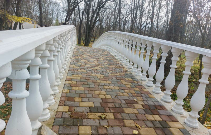 A Large Bridge Over a Small River in the Autumn Forest. Beautiful ...