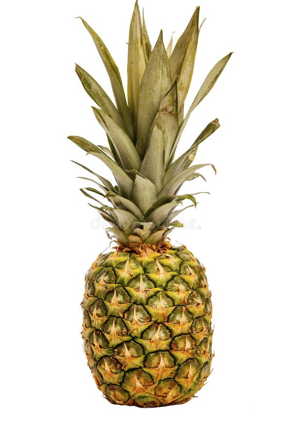 Large Bright Whole Pineapple, Close-up Stock Image - Image of large ...