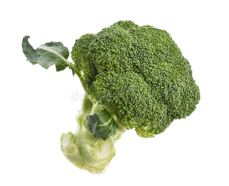 Large Broccoli Flower Heads, Fresh Broccoli Isolated on White ...