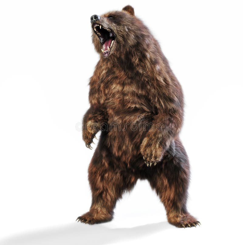 Attacking Bear Standing Clipart