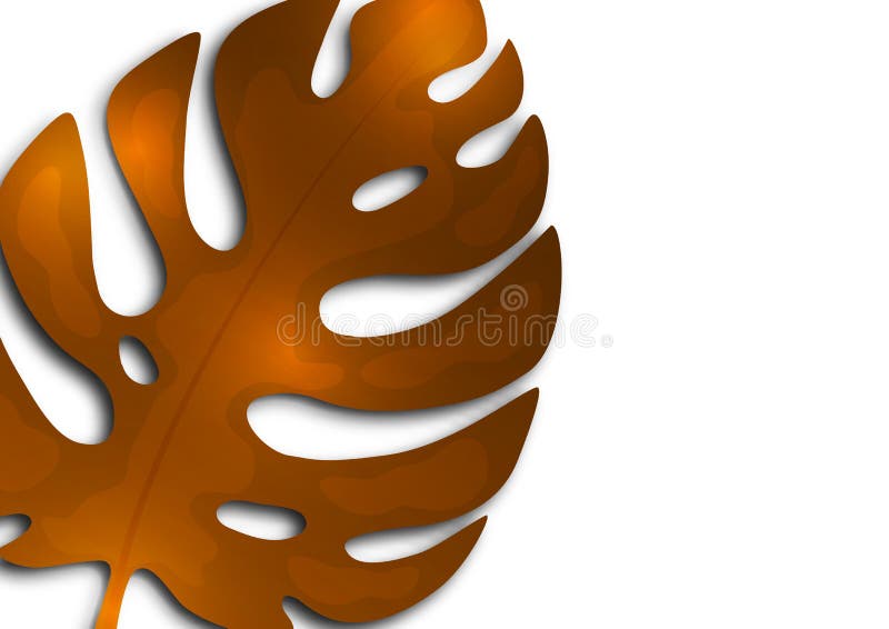 Large Brown Leaf of Monstera on a White Background. Creative Template ...