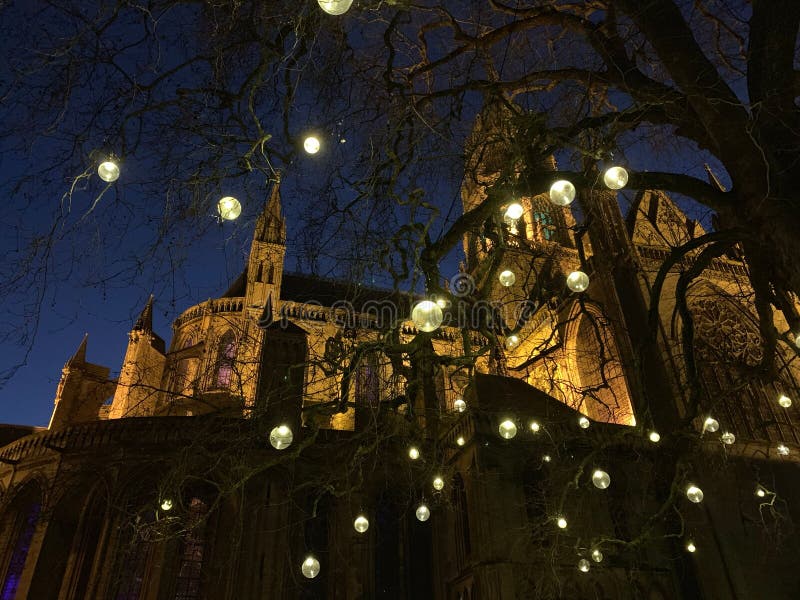 Large Building with a Bare Tree with Lights in Front of it Stock Image ...