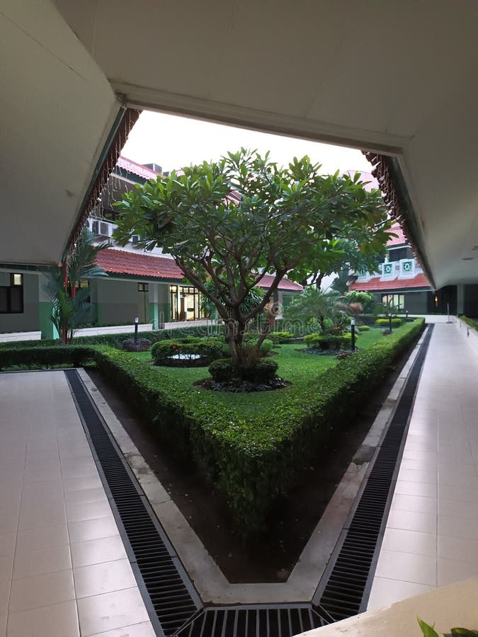 The Large Building with Green Trees in the Middle Stock Photo - Image ...