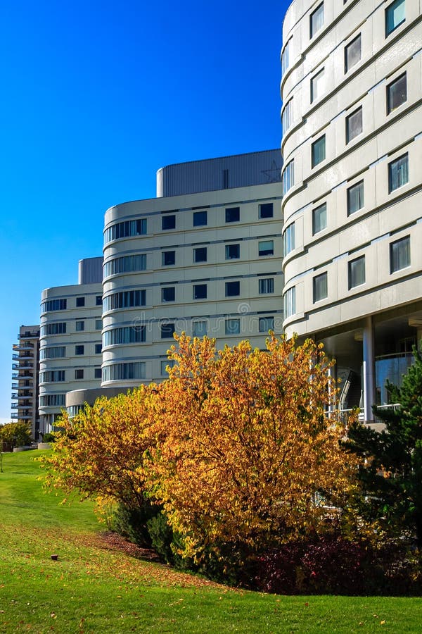A Large Building with a Tree in Front of it Stock Image - Image of ...
